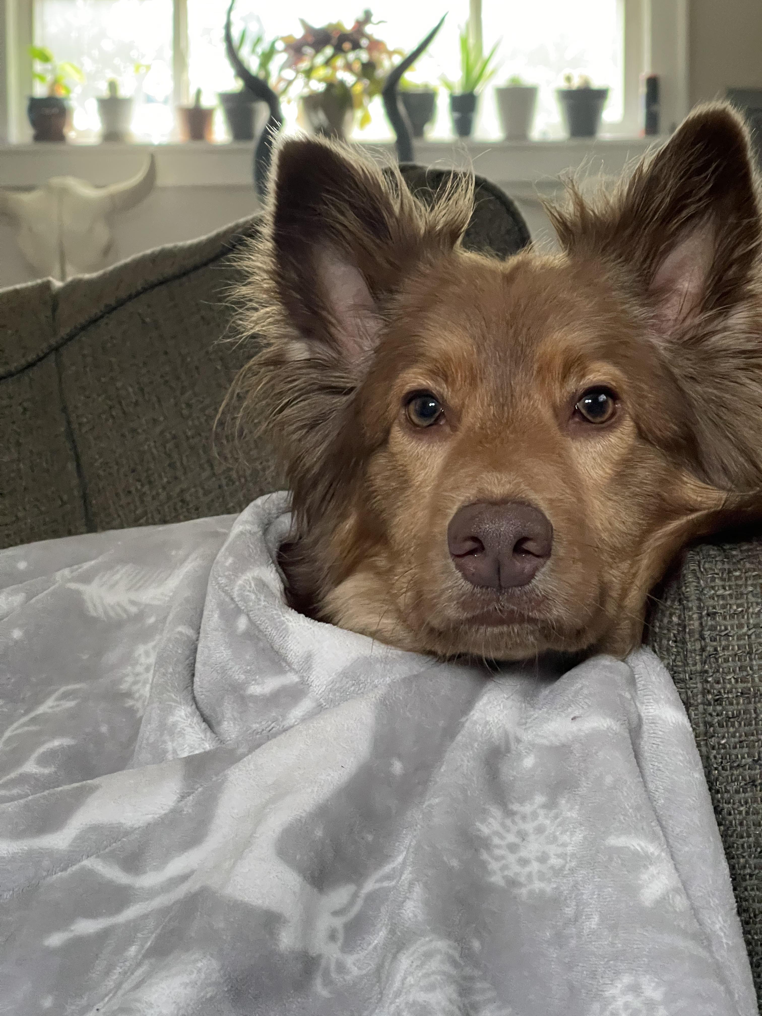 All tucked in! | Scrolller