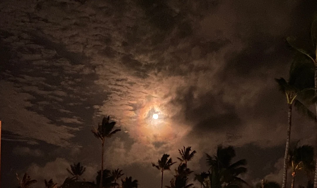 Moonlit Night - Hawaii | Scrolller