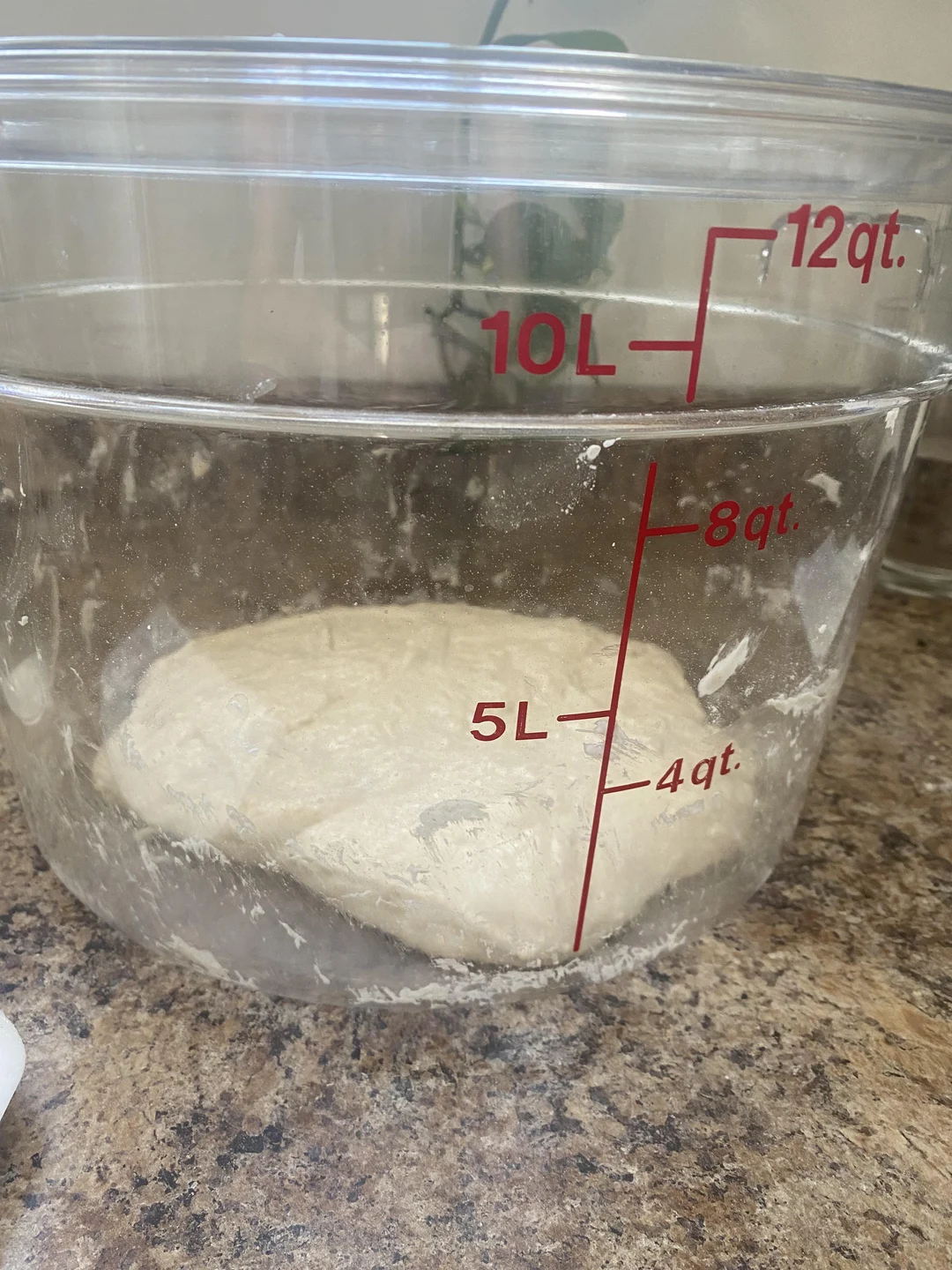 Sourdough bread: help needed! More in comments. | Scrolller