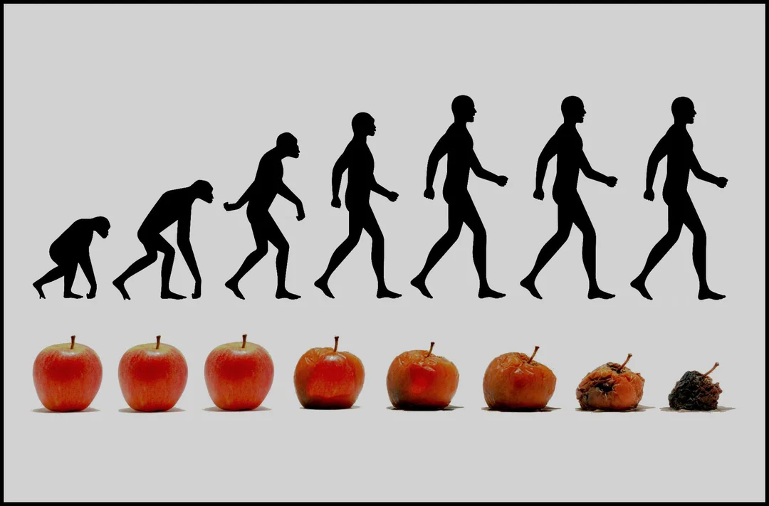The Evolution Of The Rotten Apple. | Scrolller