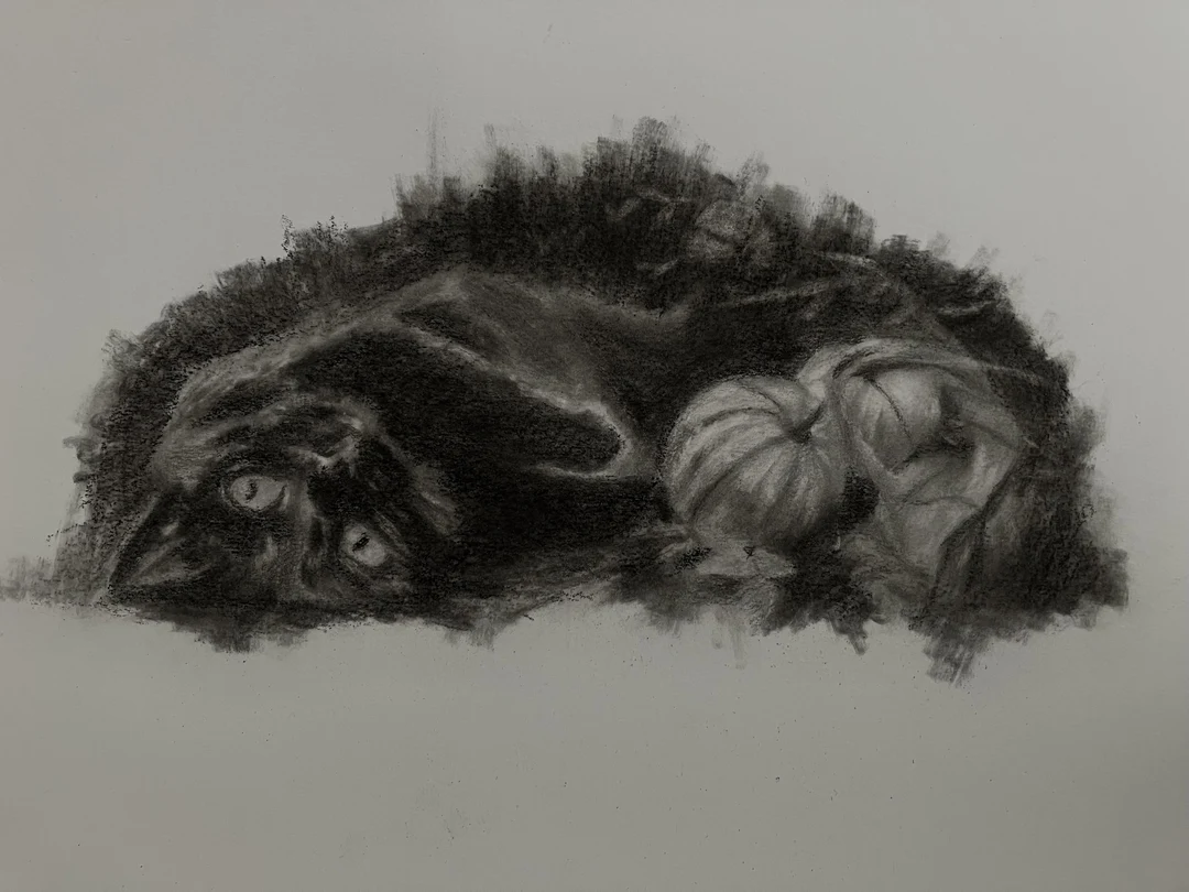 Backend, Smaccirca, Charcoal, 2023 | Scrolller