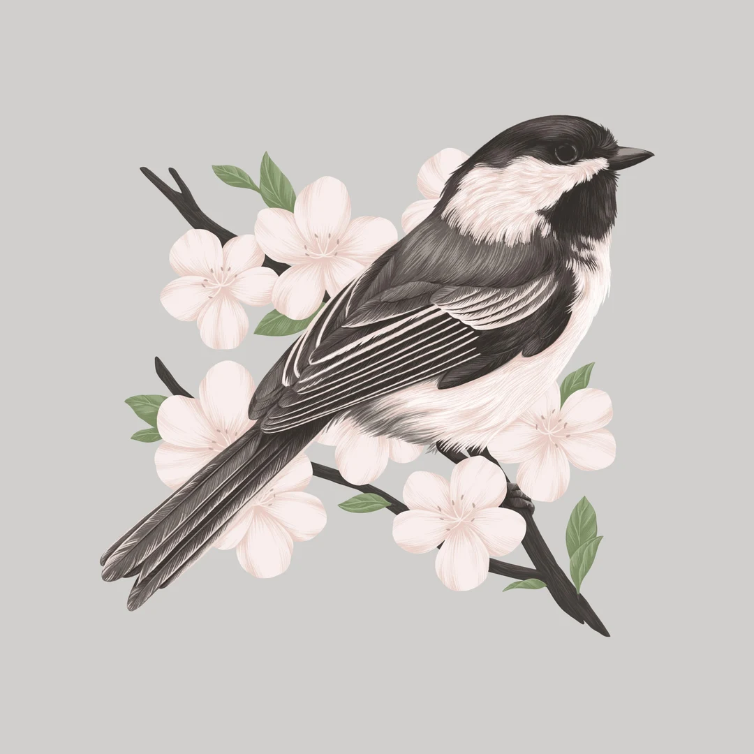 Chickadee, Chimerah Hanssen (me), digital procreate, 2024 | Scrolller