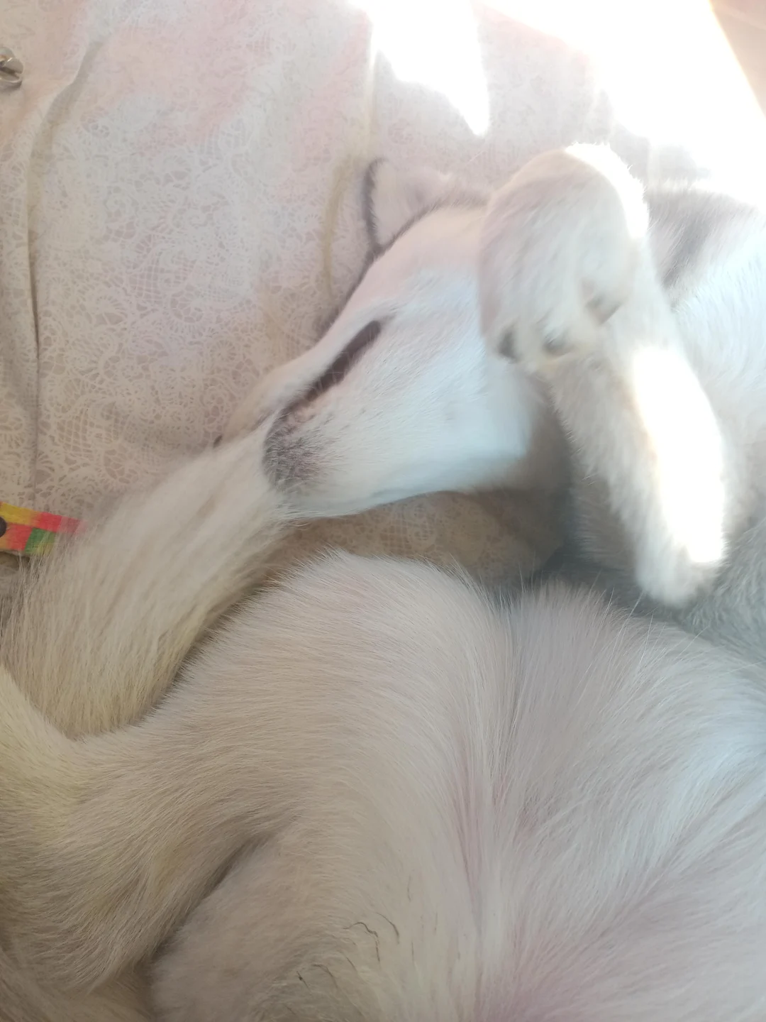 She's deep asleep | Scrolller