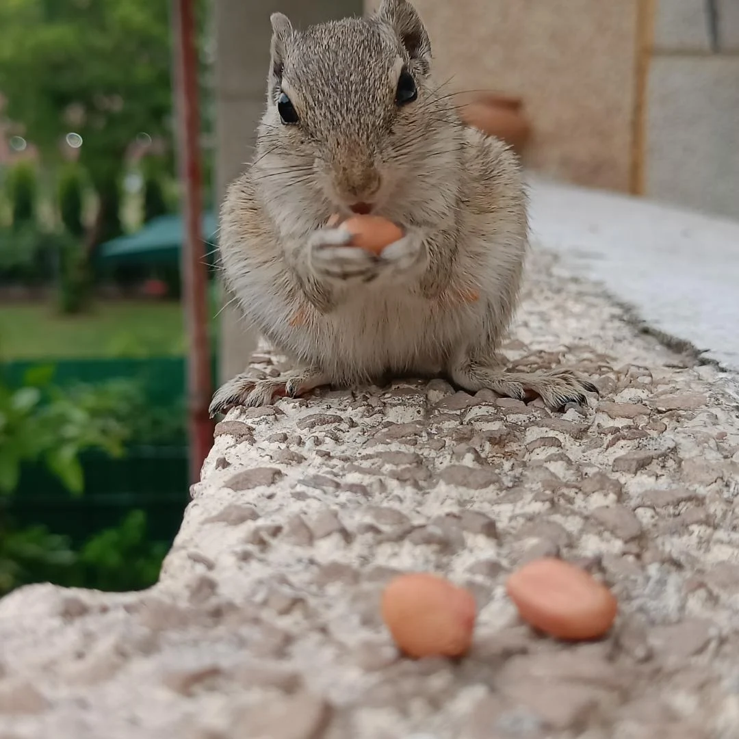 Get you a partner that looks at you the same way this tiny girl looks at her peanut. | Scrolller