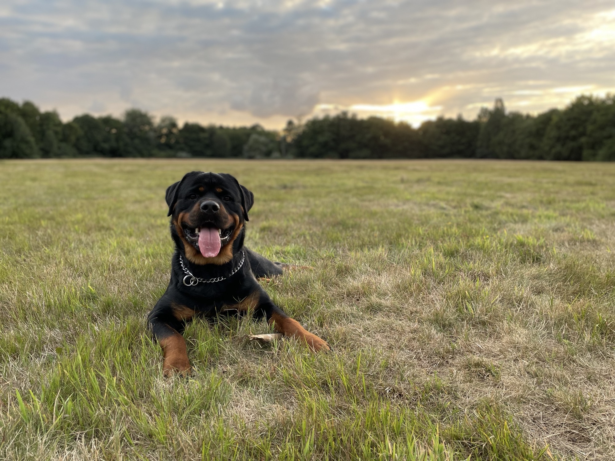 Teo is eleven months old now | Scrolller