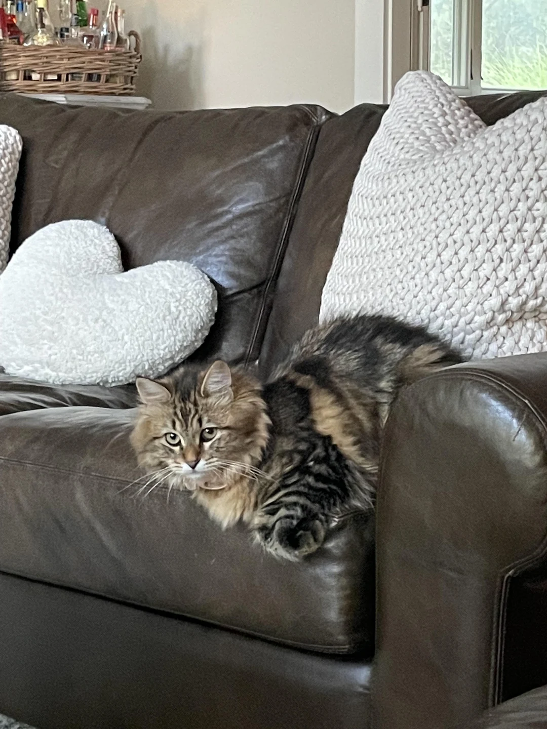 leaning loaf | Scrolller