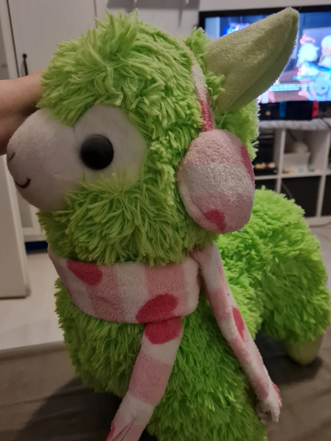 Does someone has this plush? | Scrolller