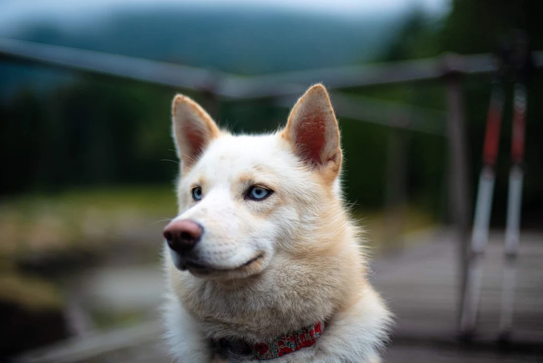 First hike into the backcountry was a success | Scrolller