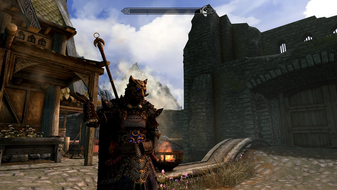 My new favourite armour for a khajiit build | Scrolller