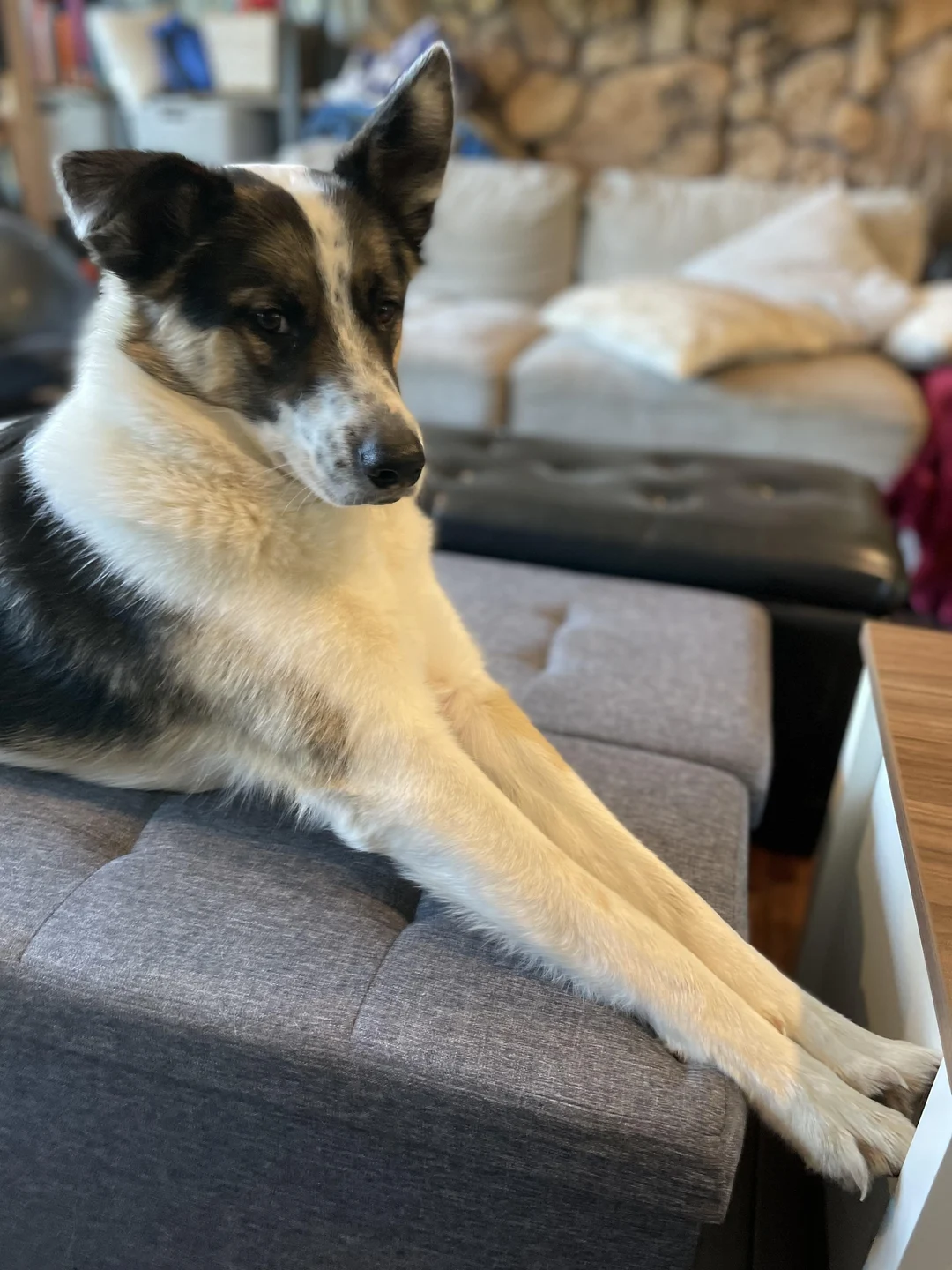 Servings leg lewks today | Scrolller