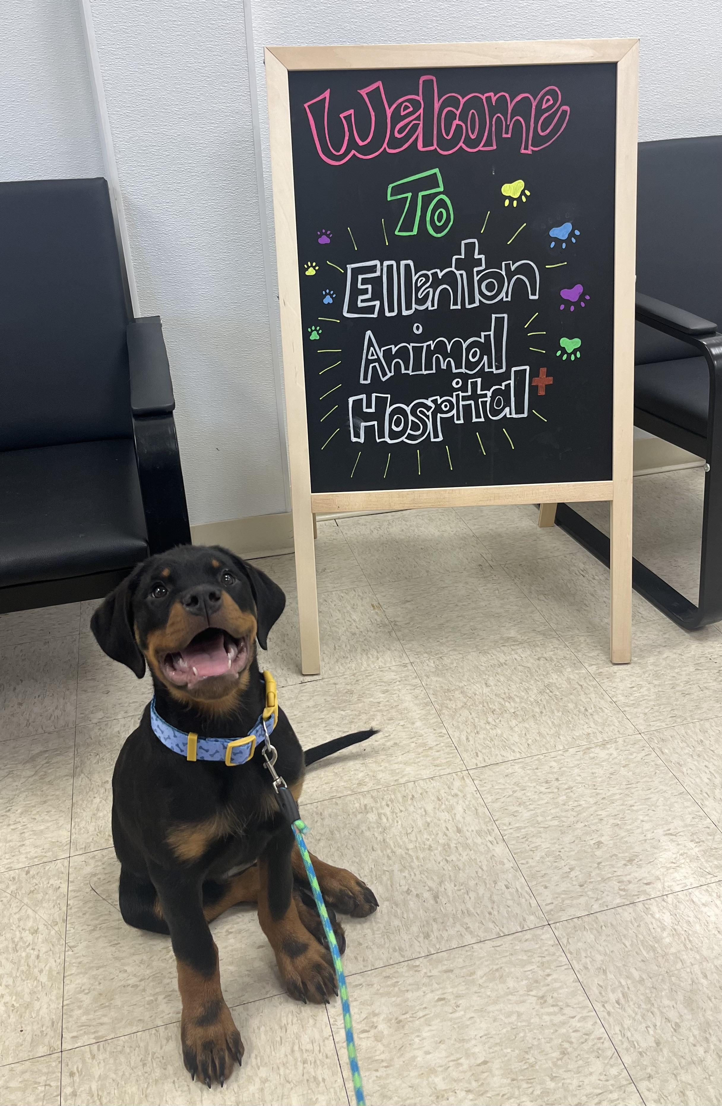 2nd Round Of Shots | Scrolller