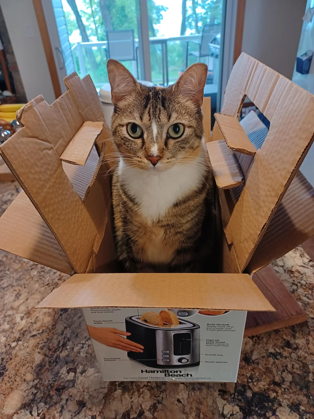 New toaster. | Scrolller