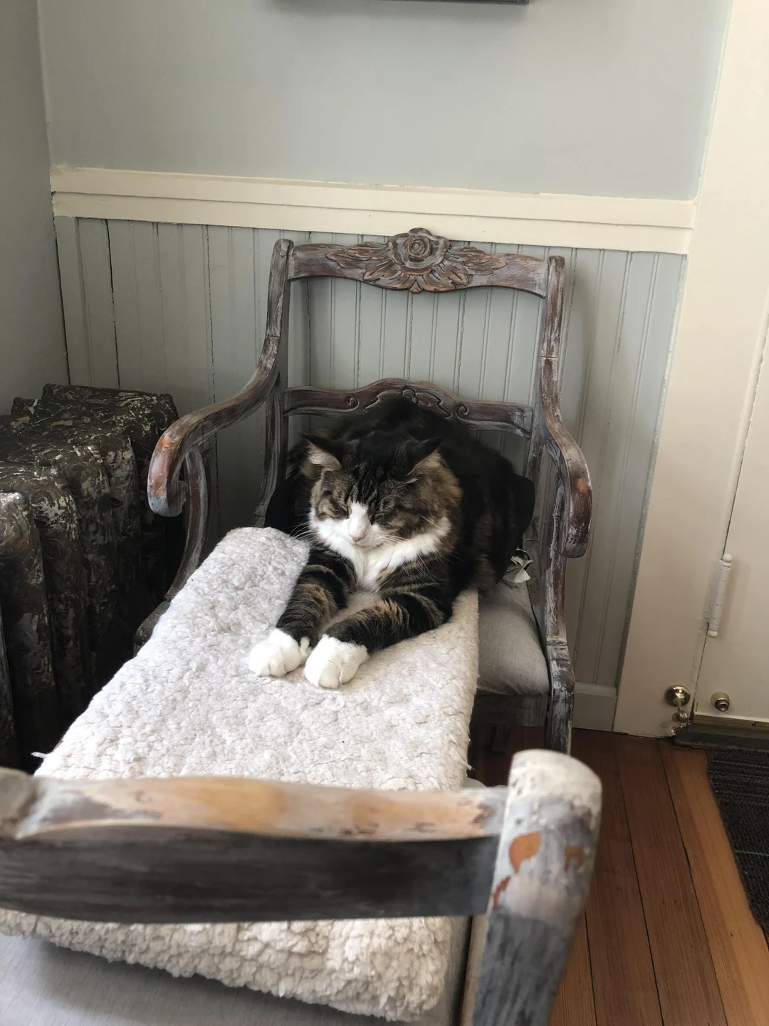 Sleepy Bean | Scrolller