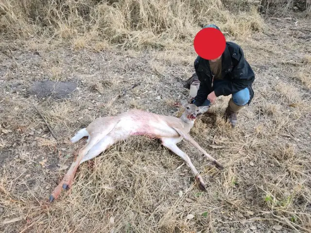 First doe | Scrolller