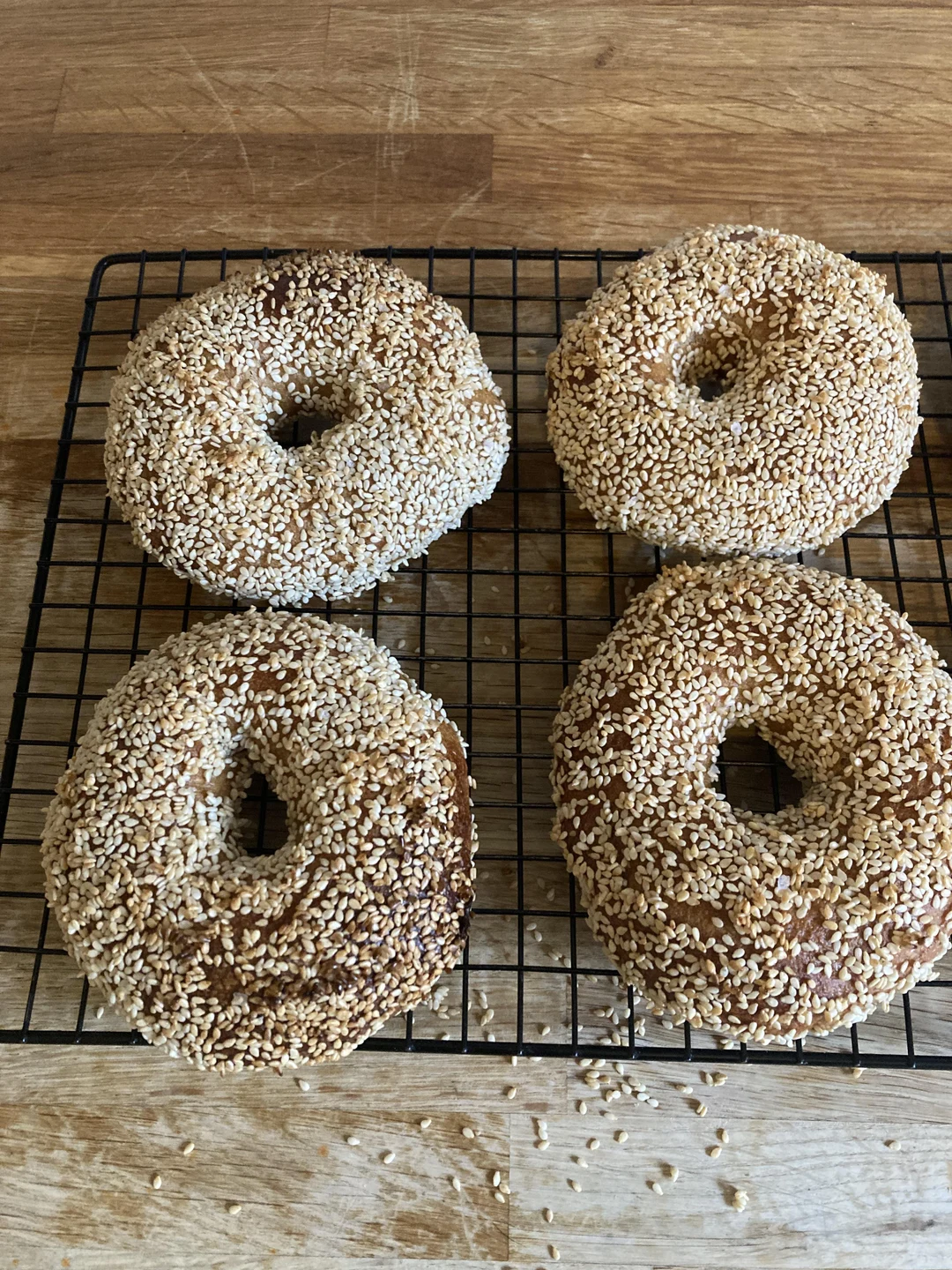 Second attempt at bagels! | Scrolller