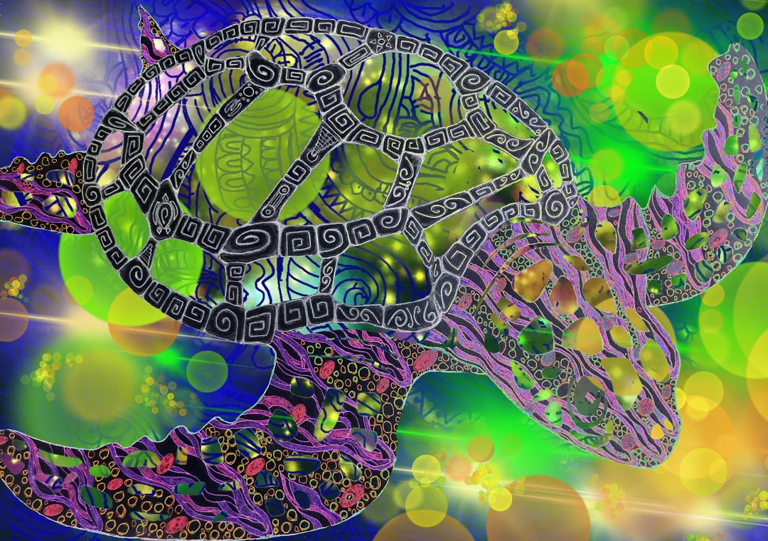 Galaxsea Turtle | Scrolller