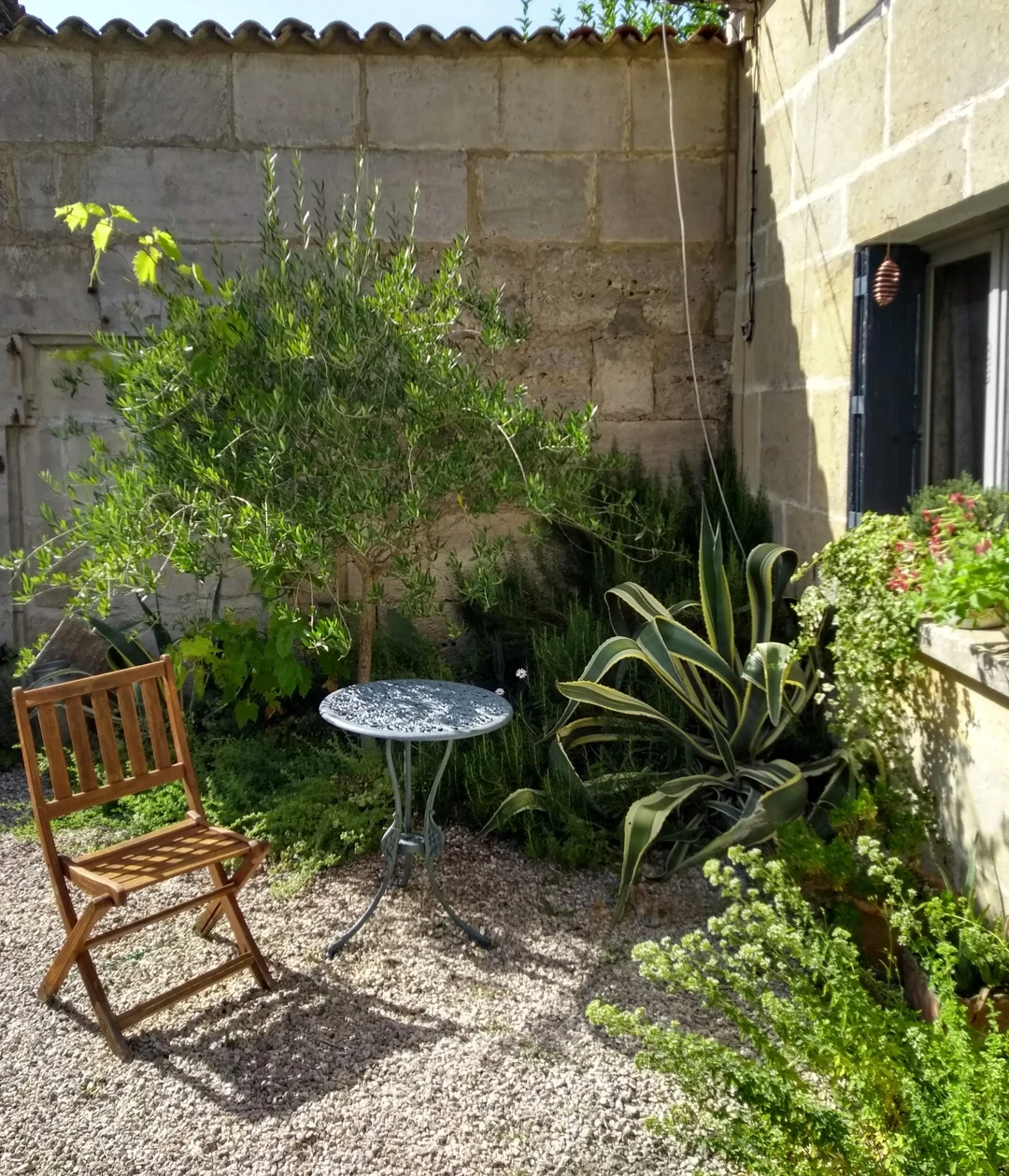 My parents' front yard | Scrolller