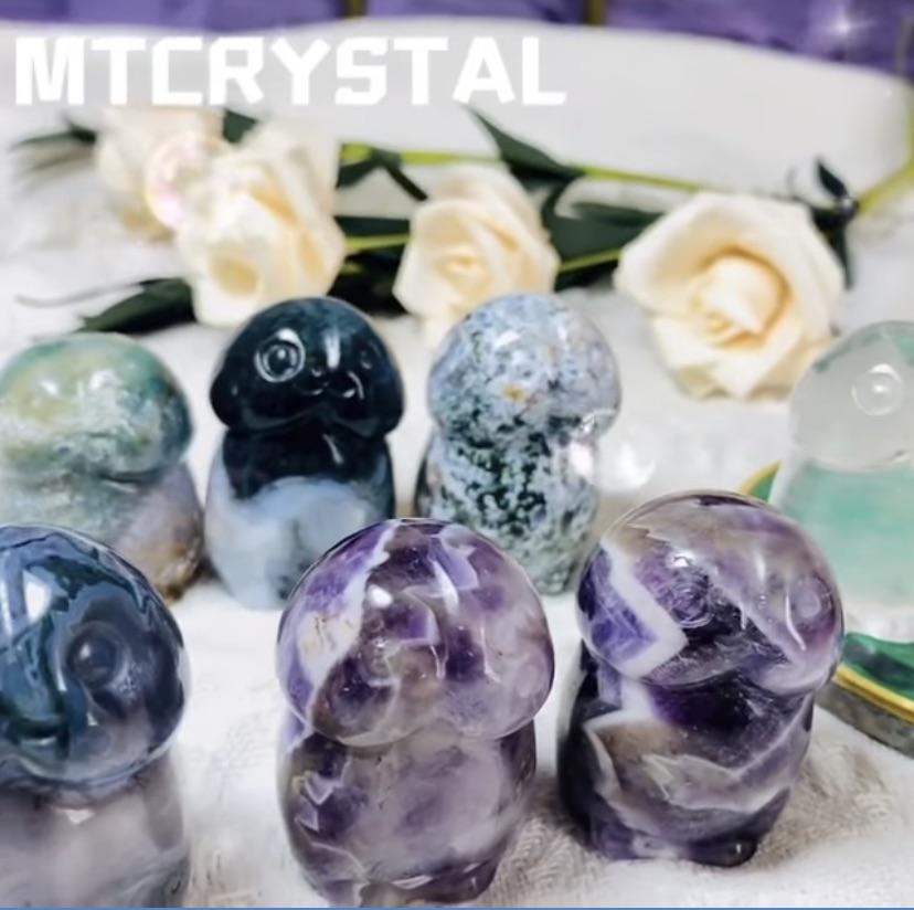 “Seals” allegedly… | Scrolller