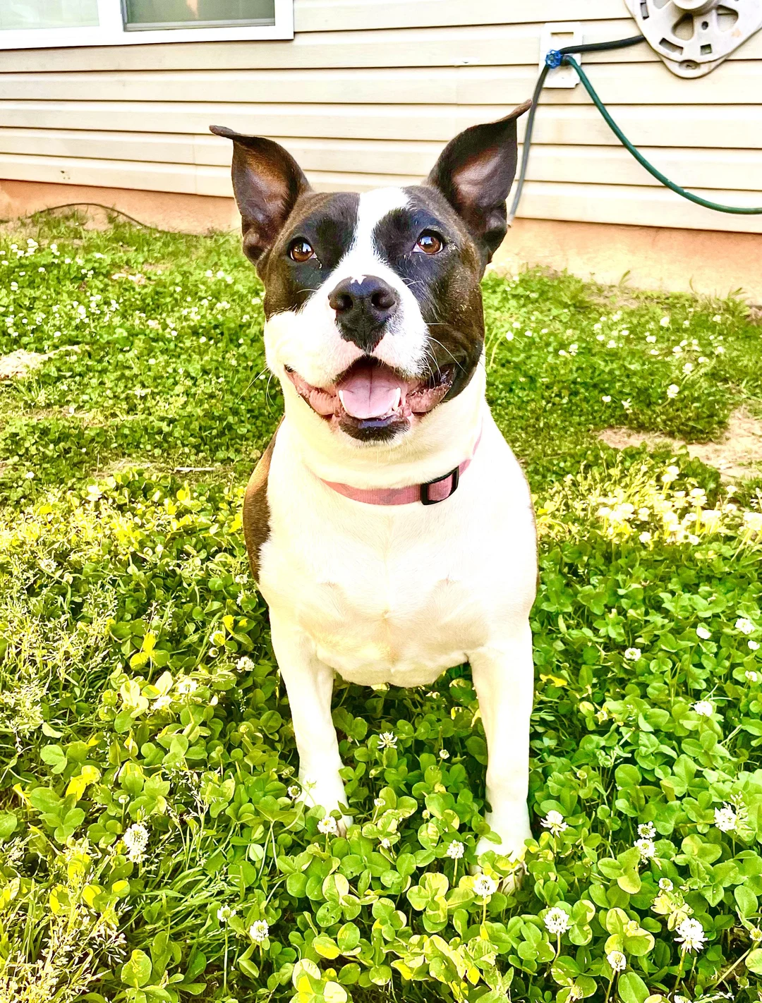 My Brooklyn | Scrolller