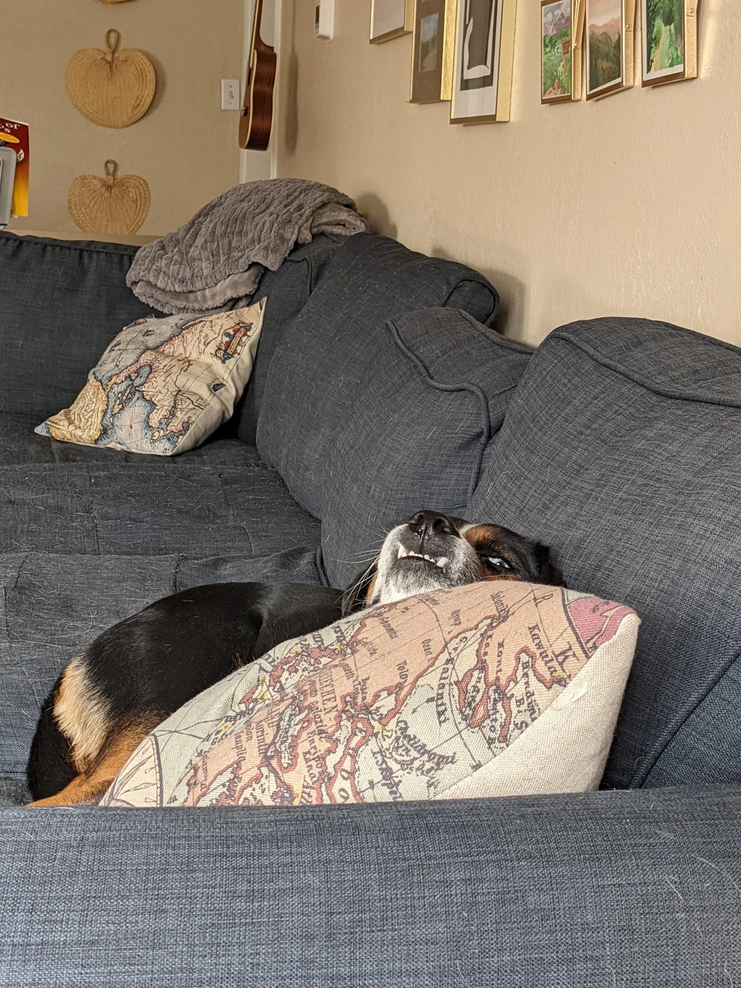 always watching | Scrolller