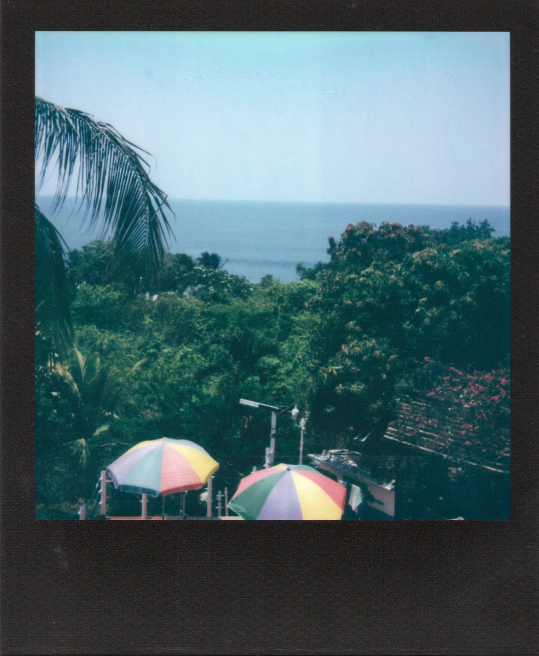 Tunco / polaroid one step 2 | Scrolller