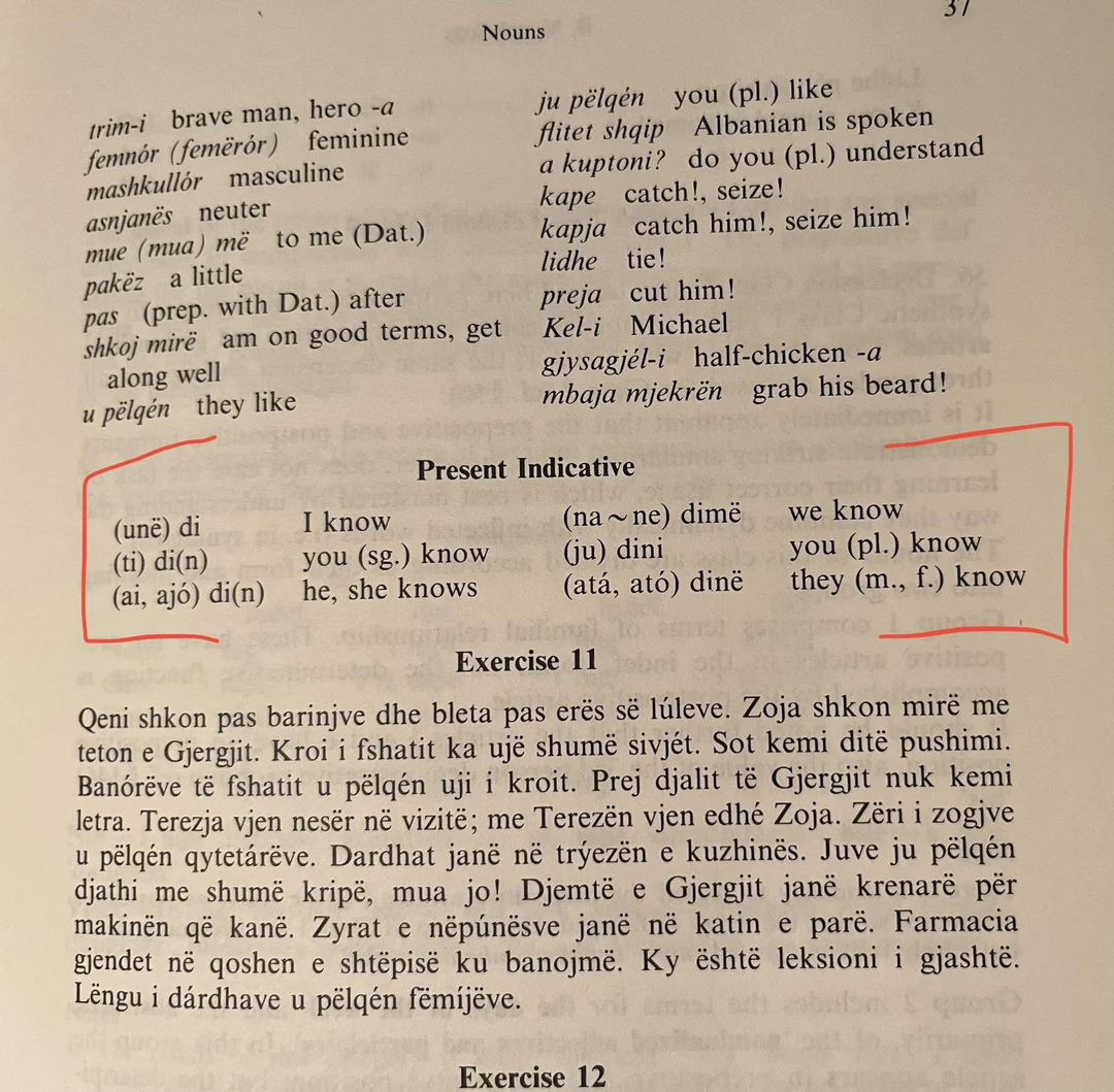 Quick grammar question: what is (n) in di(n) mean in this image? | Scrolller