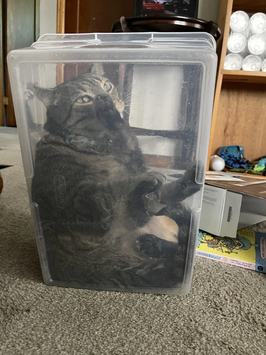 Inverted the trap to reveal the pouch | Scrolller