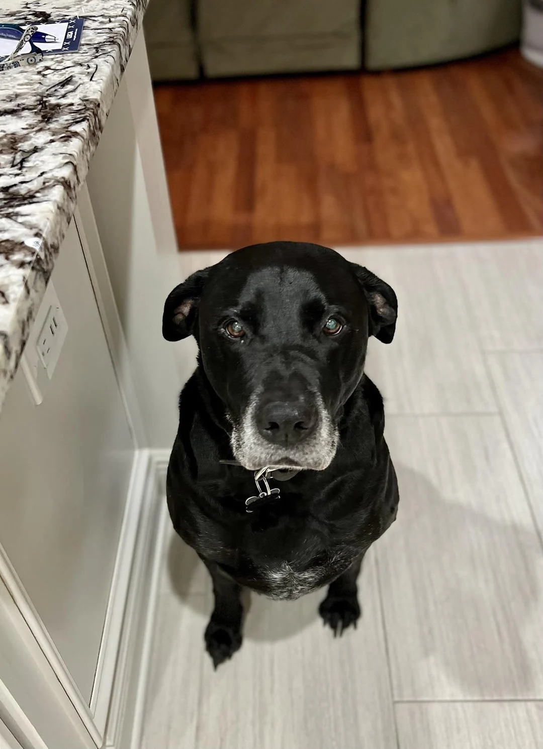 My very distinguished old man, Norman | Scrolller