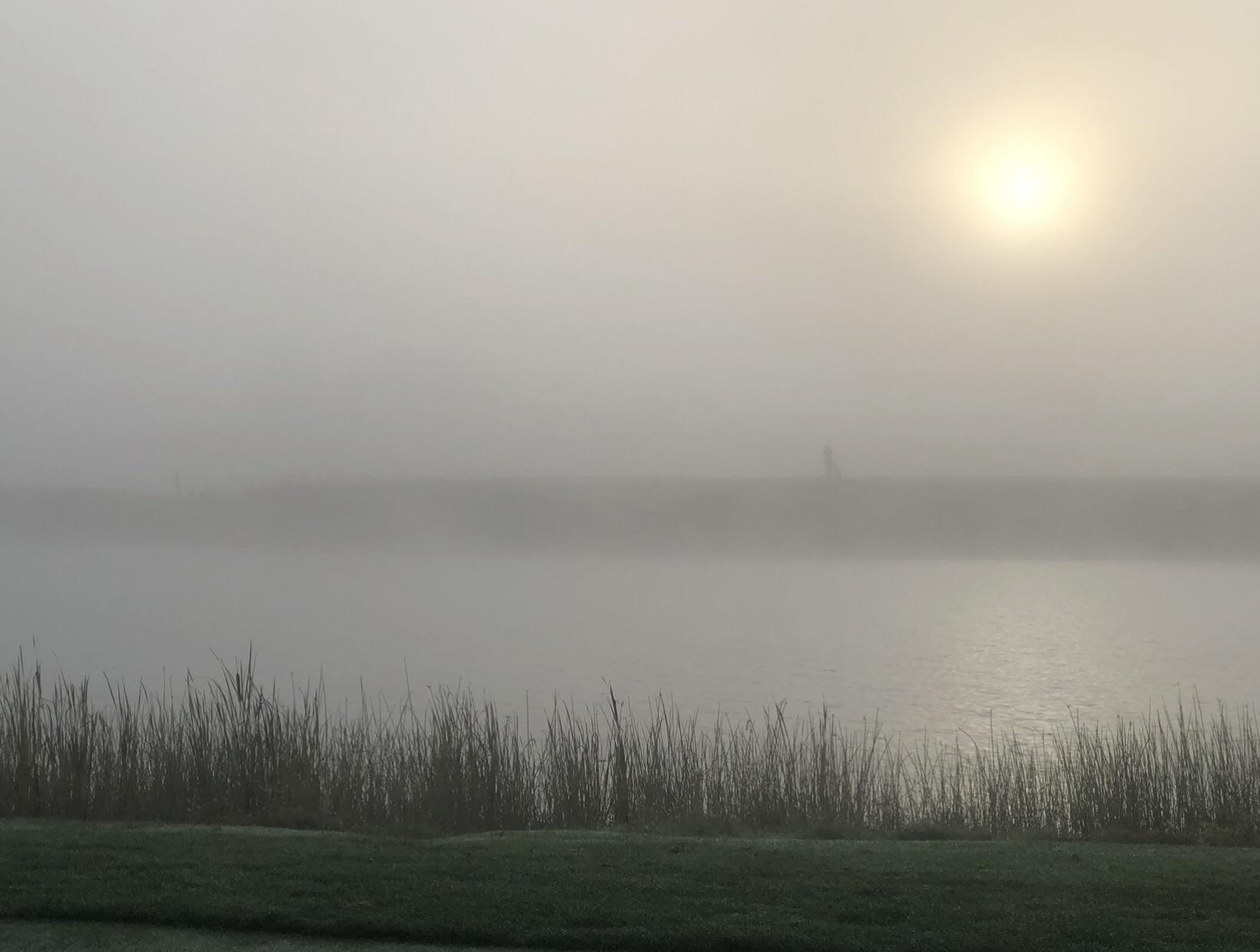 Discover more like Golf: Golfer In The Mist and Related Content | Scrolller