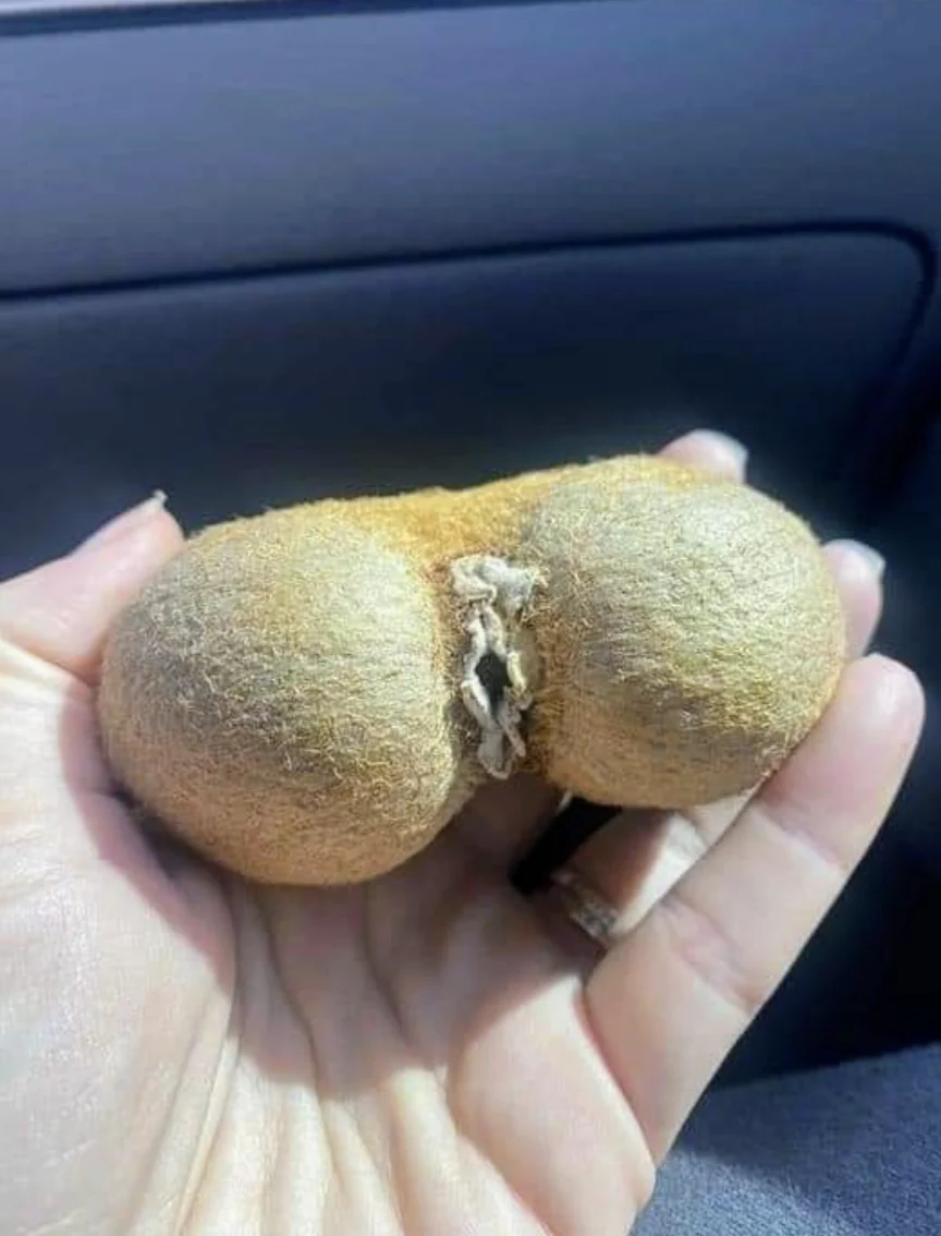 Looks a bit dry but bet it's moist on the inside | Scrolller