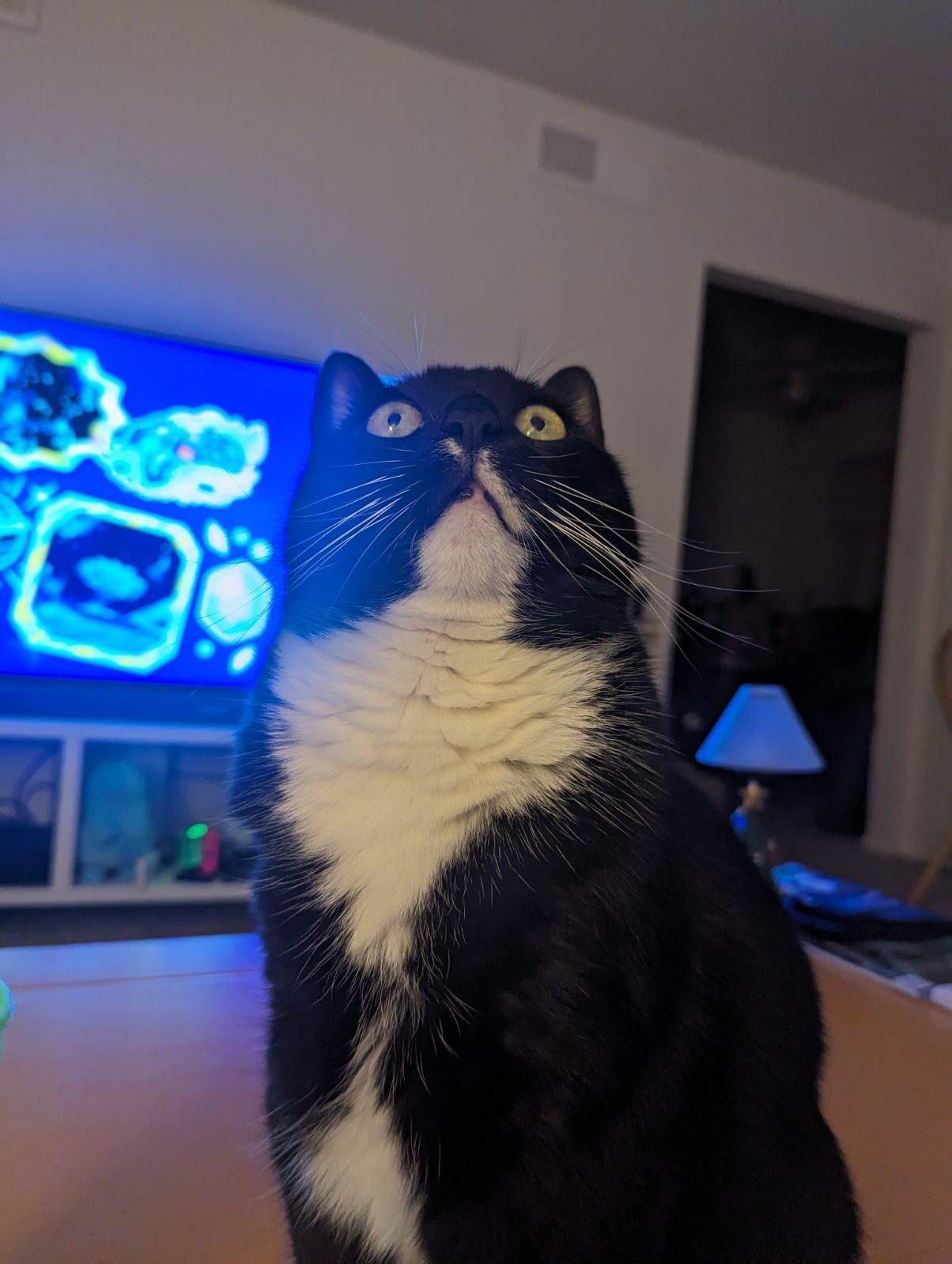 What is she thinking? | Scrolller