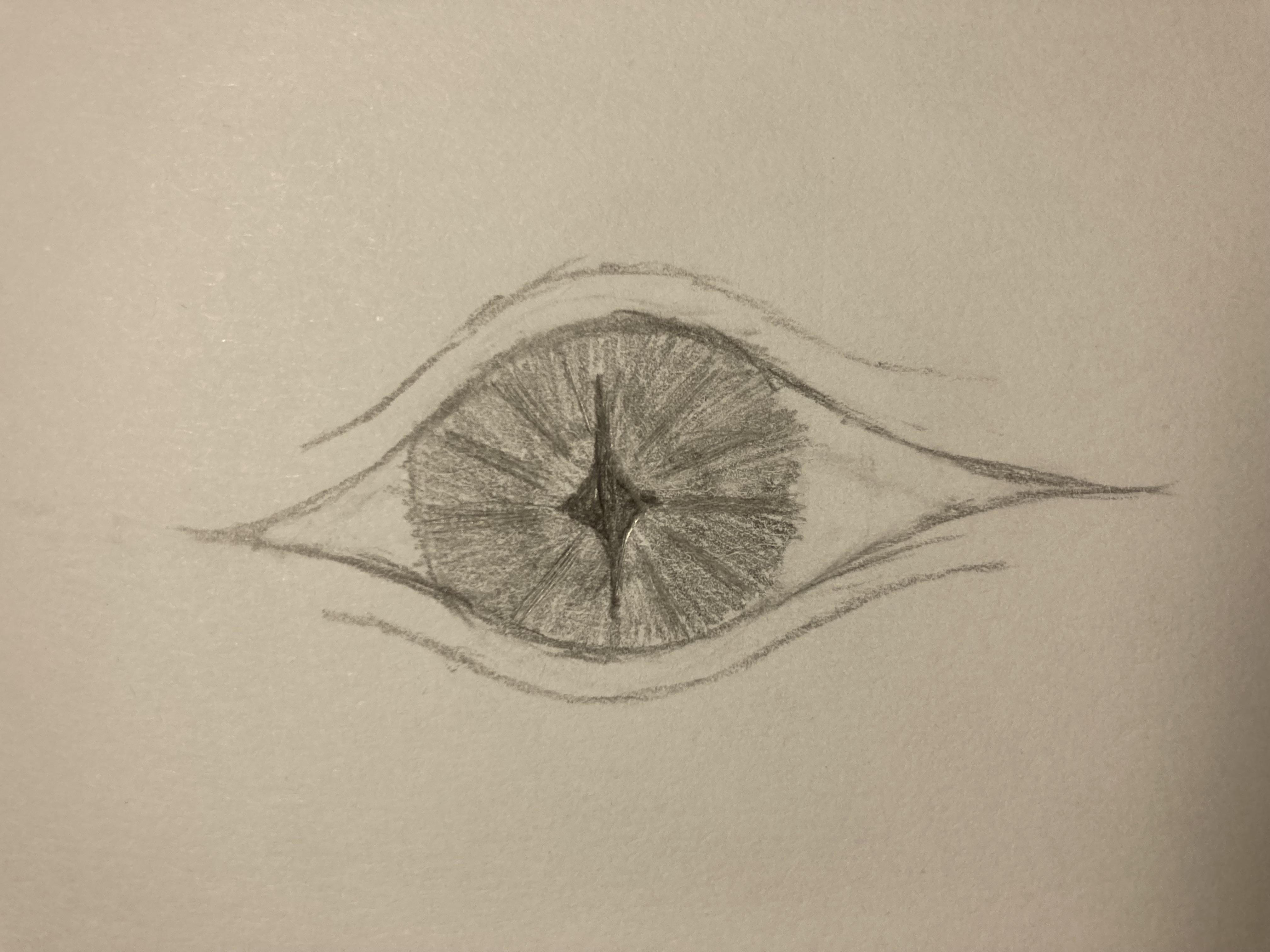 Just practicing… | Scrolller