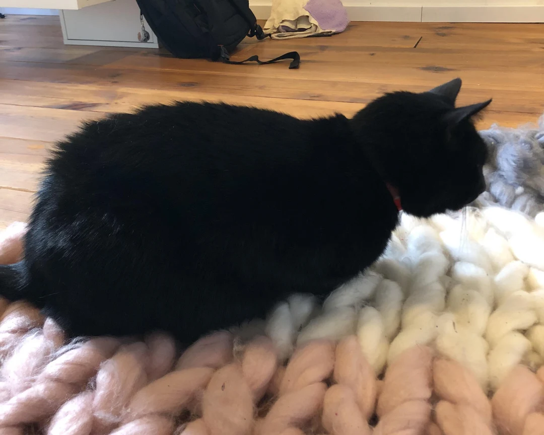 Loaf so burned it floats | Scrolller