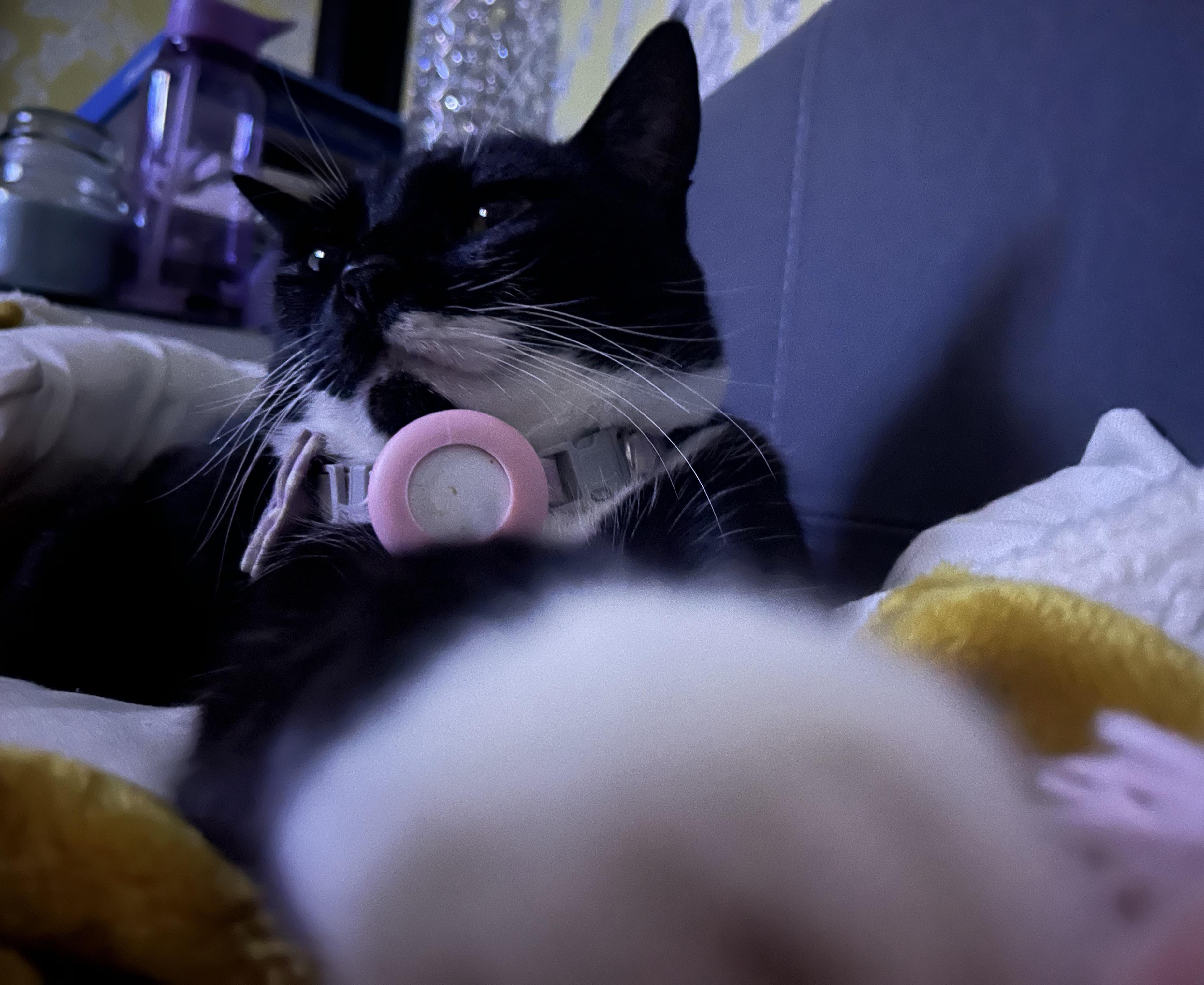 lilith stepping on business | Scrolller