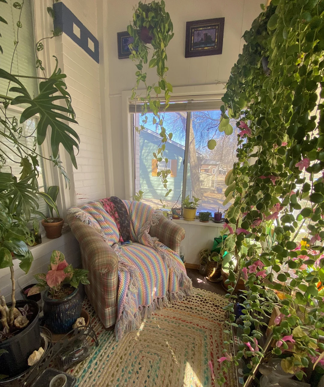 My front porch in afternoon sun. | Scrolller