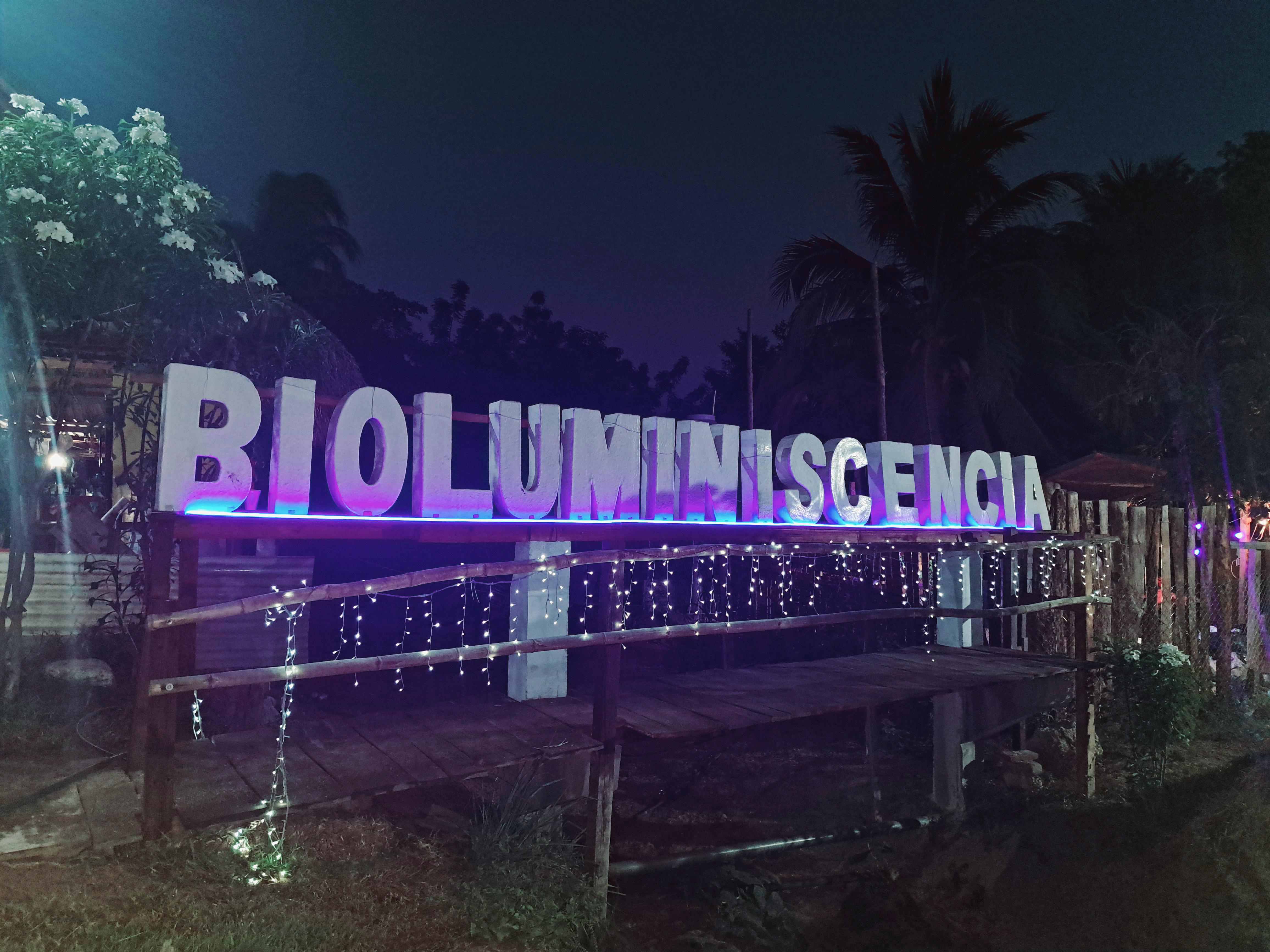 Bioluminiscencia, Oaxaca | Scrolller