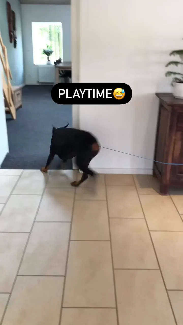 Playtime | Scrolller