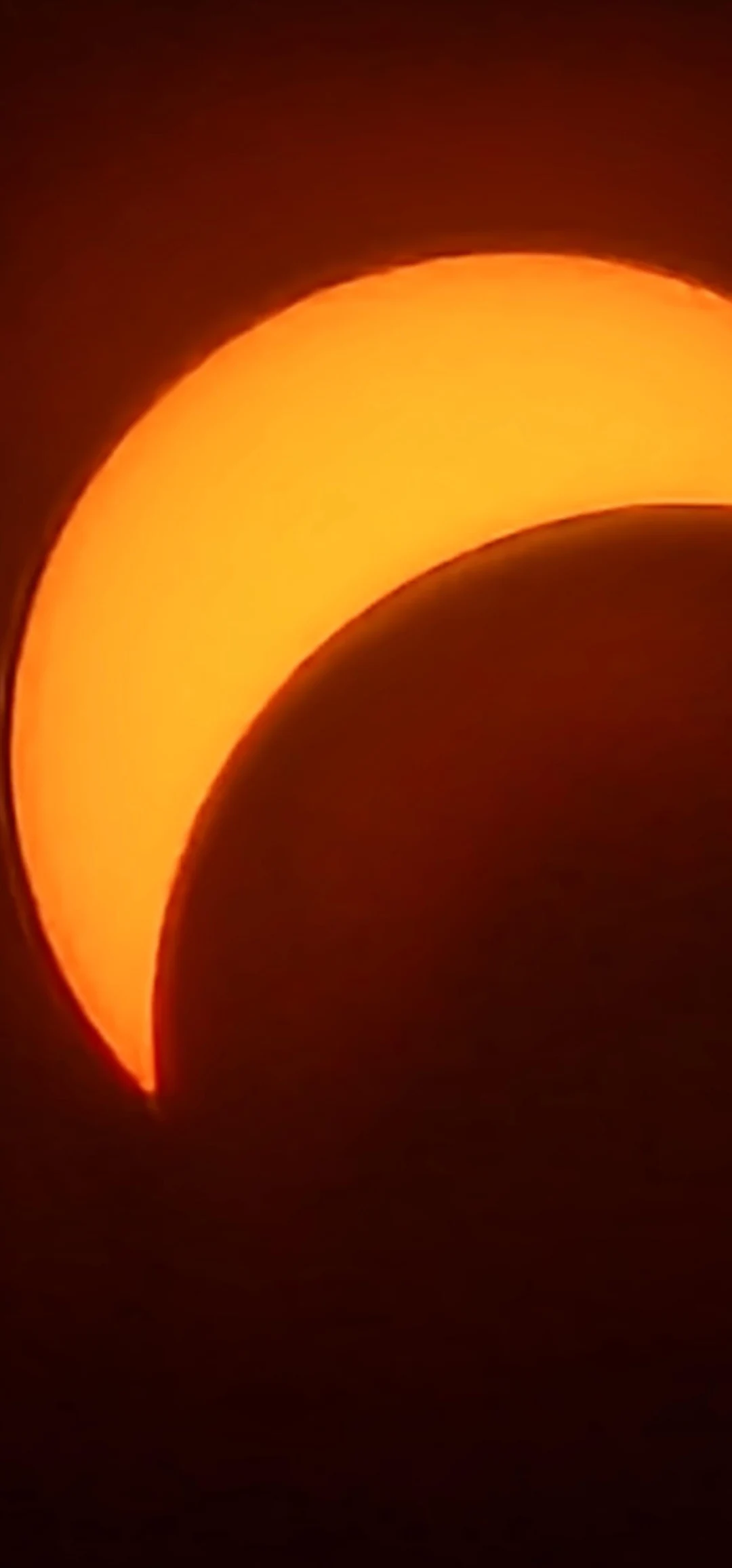 Happy eclipse day! | Scrolller