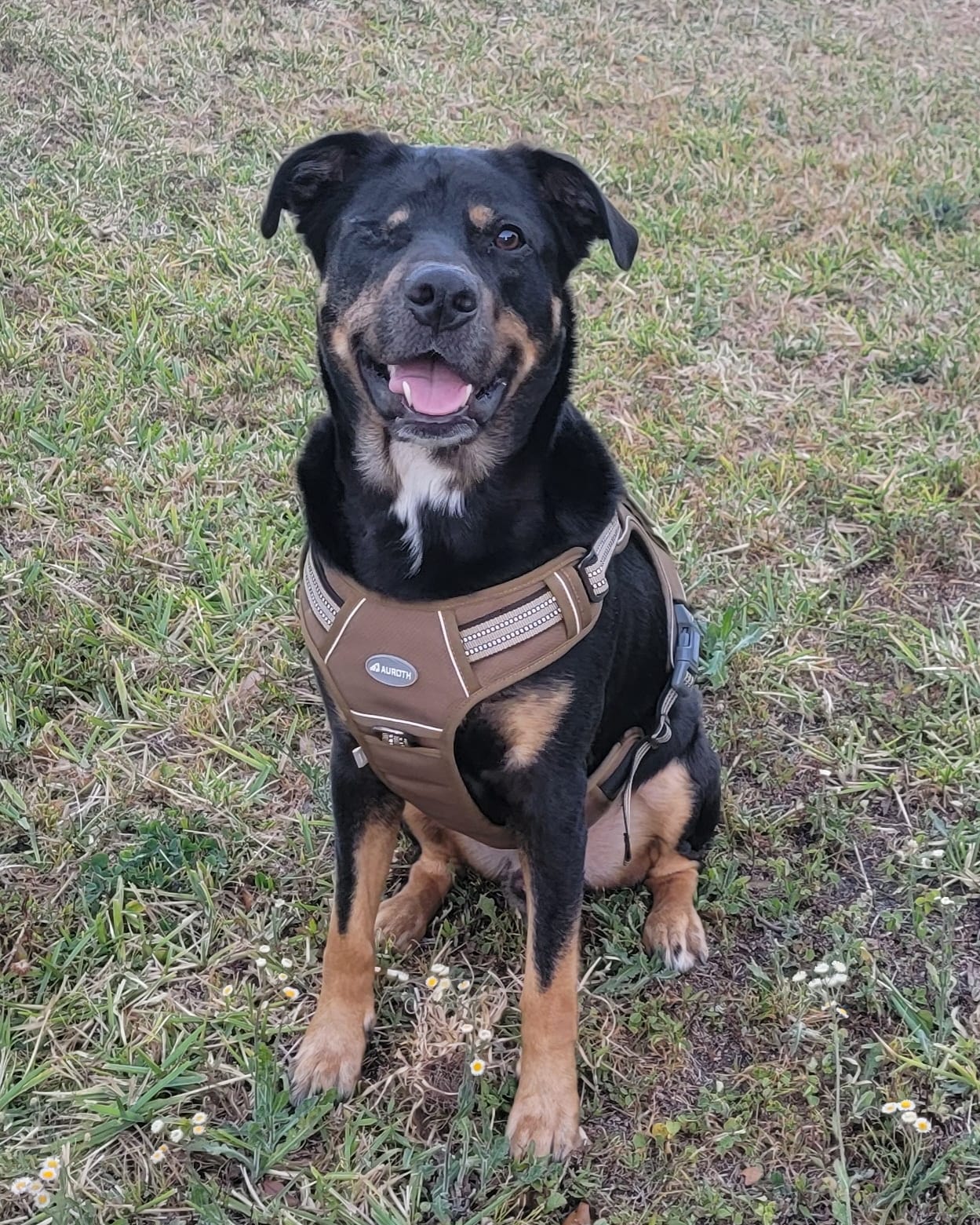 Best decision ever | Scrolller