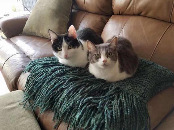 double loaf | Scrolller