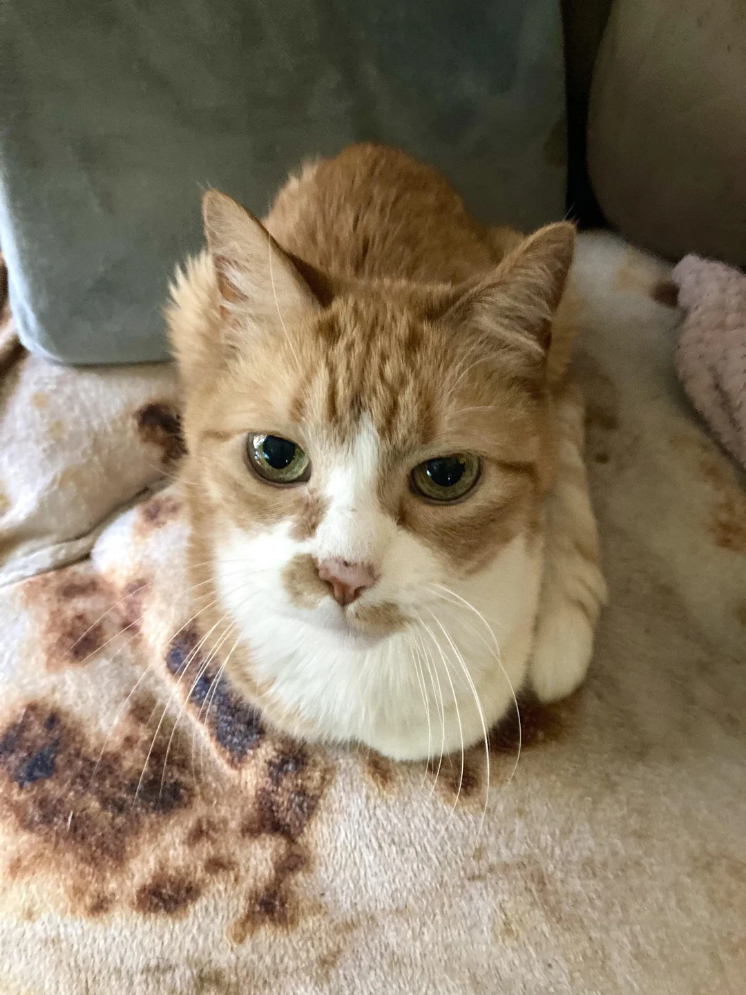 Perfect form | Scrolller