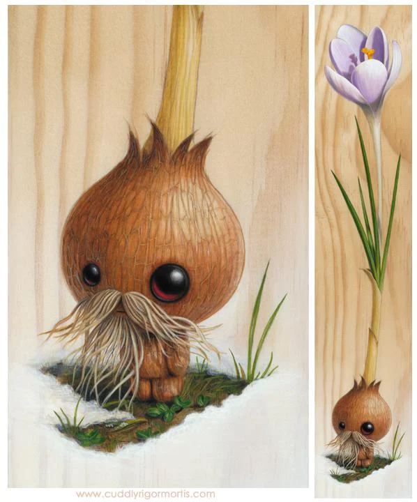 Onion by Kristin Tercek | Scrolller