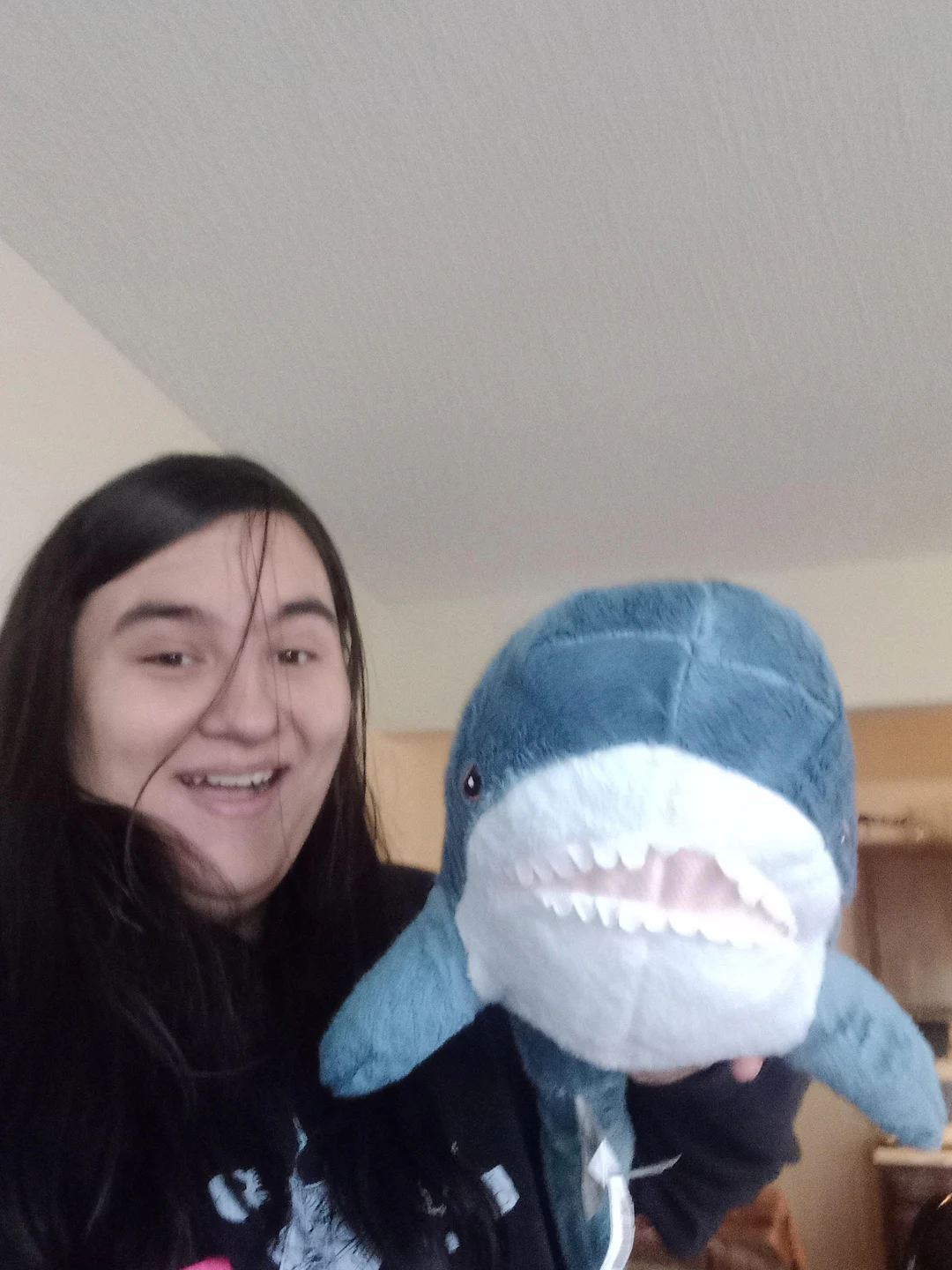 my friend bought me a blahaj | Scrolller