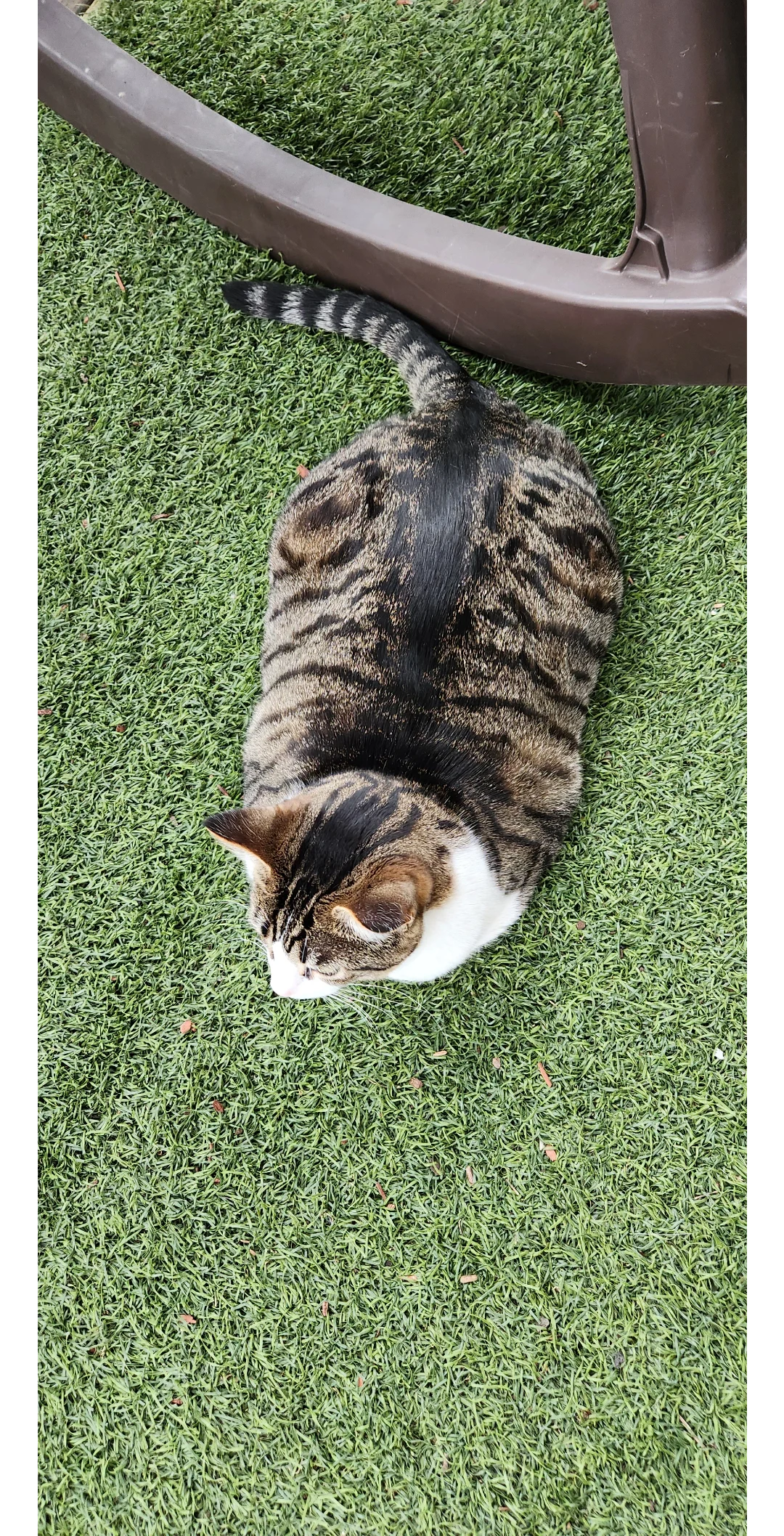 Turf loaf | Scrolller