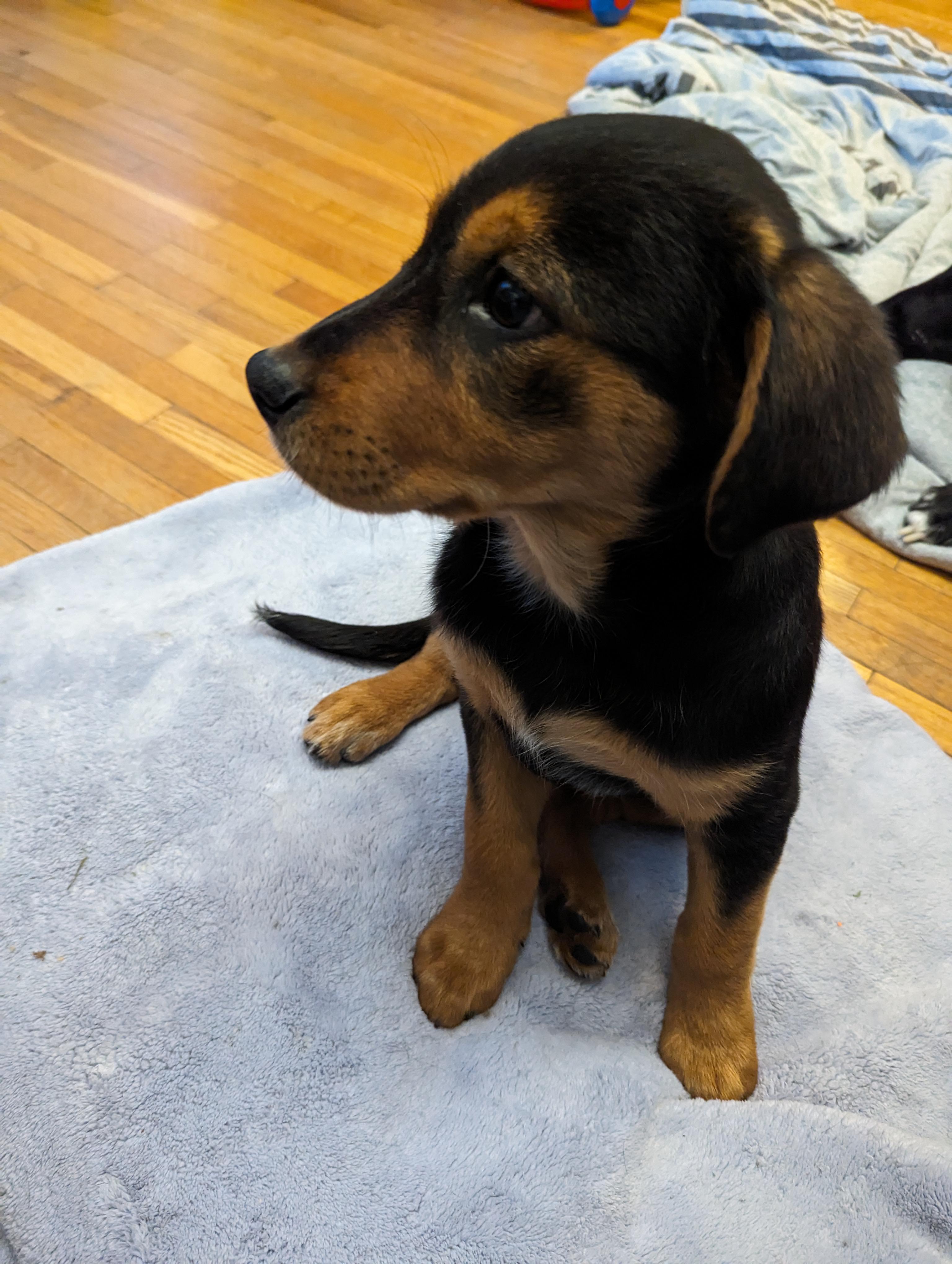 Suggestions | Scrolller