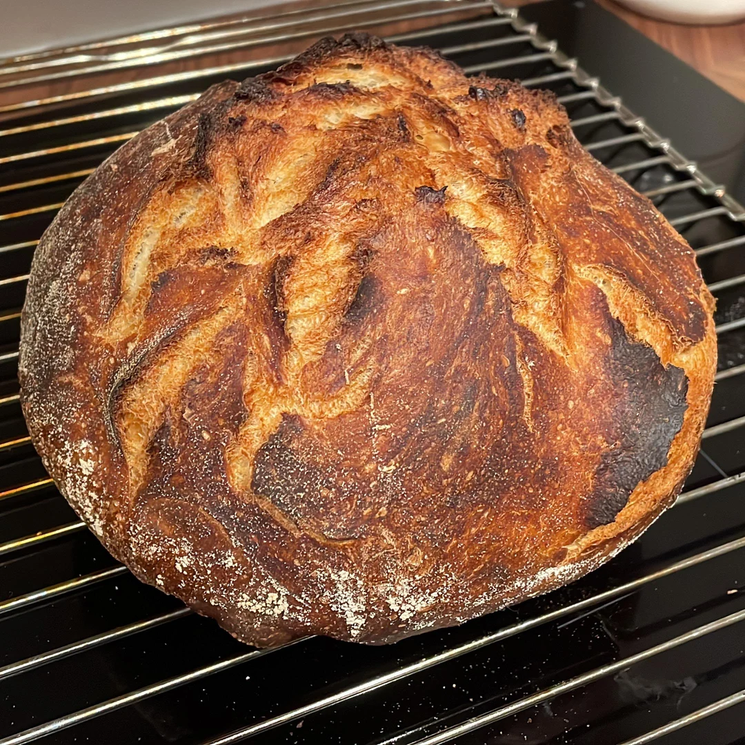 Finally got around making my first loaf. Reddit, meet Albert! | Scrolller