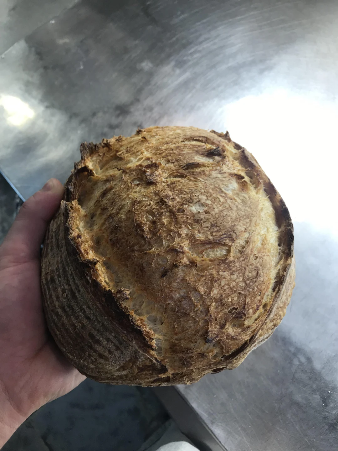 Open crumb | Scrolller