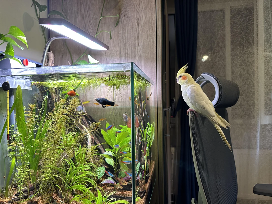 Chilling time... | Scrolller