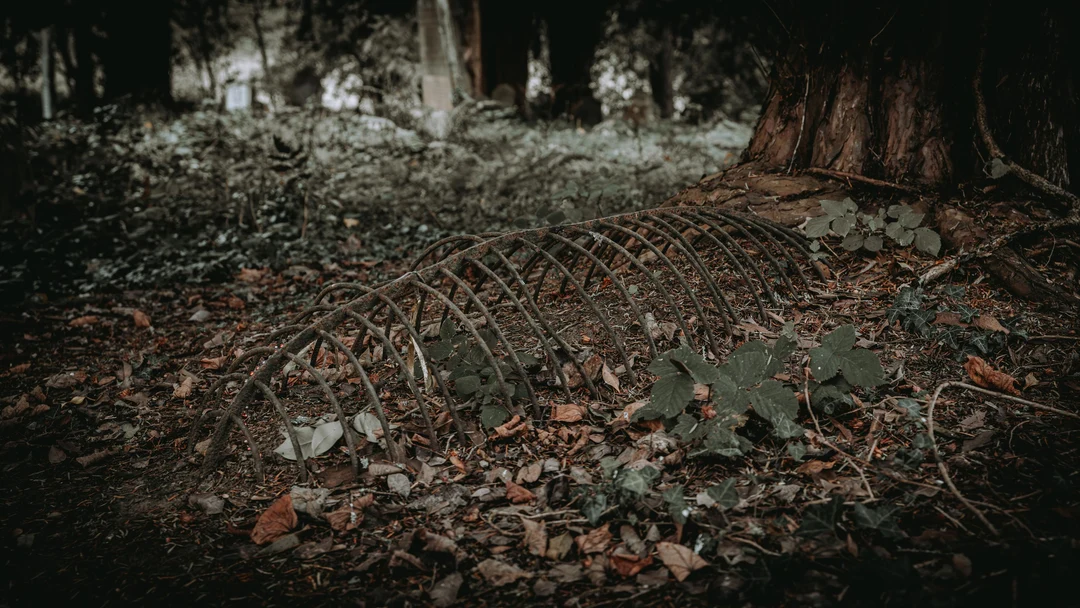 A rare and early 'mortsafe' over a child's grave with a yew tree in place of a headstone | Scrolller