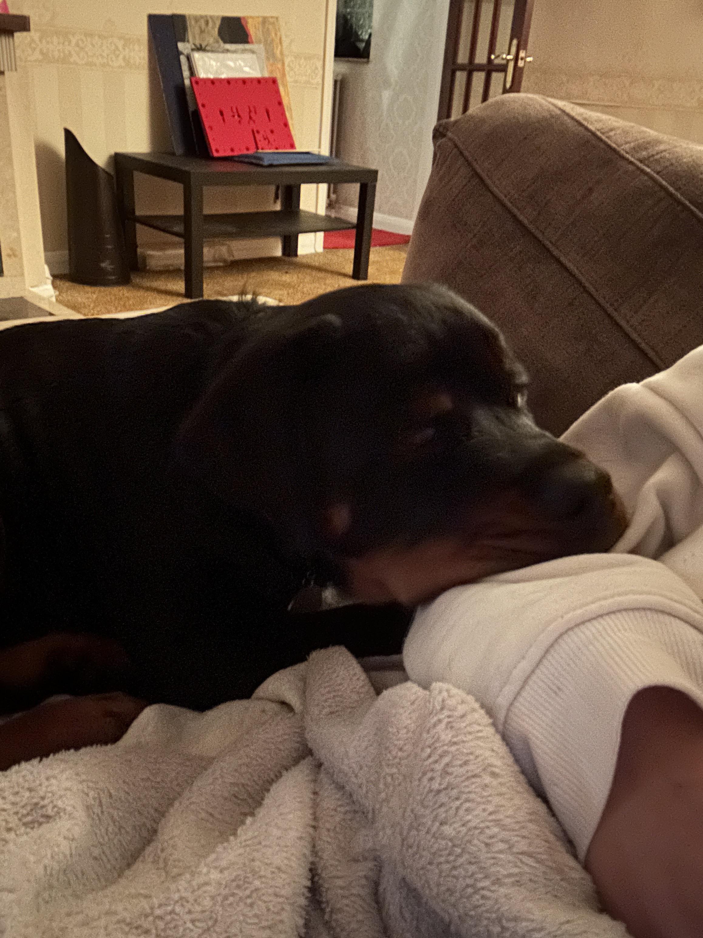 Cuddle time after work😊 | Scrolller